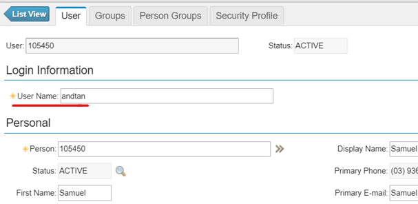 Maximizing Efficiency: Troubleshooting Maximo Issues